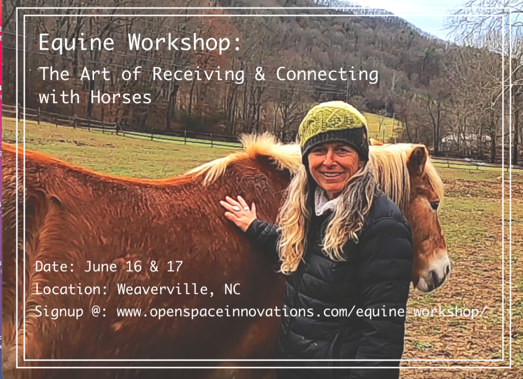 Equine Workshop – Open Space Innovations